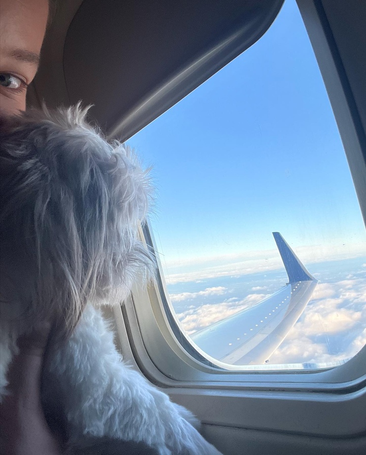 Picture of Alix Earle