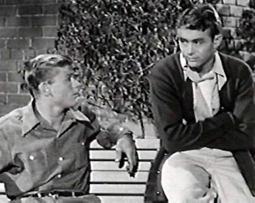 Picture of The Stu Erwin Show