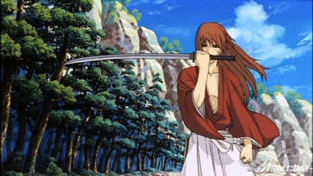 Picture of Samurai X: Reflection