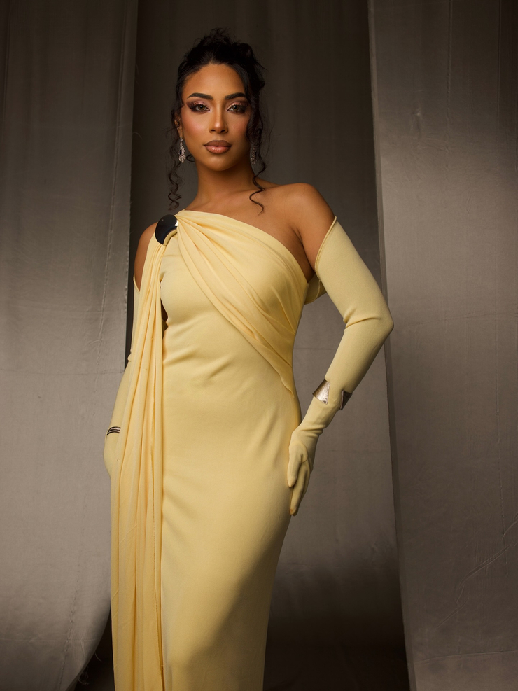 Shereen Ahmed image