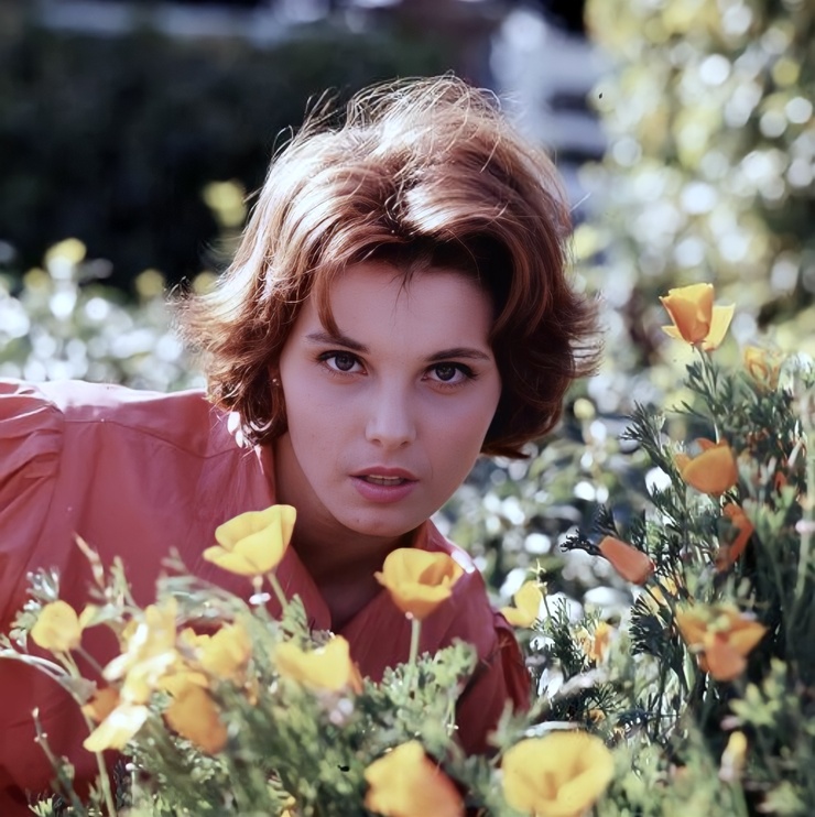 Victoria Vetri