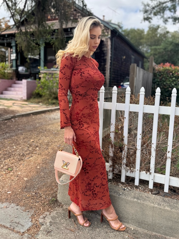 Bri Teresi image