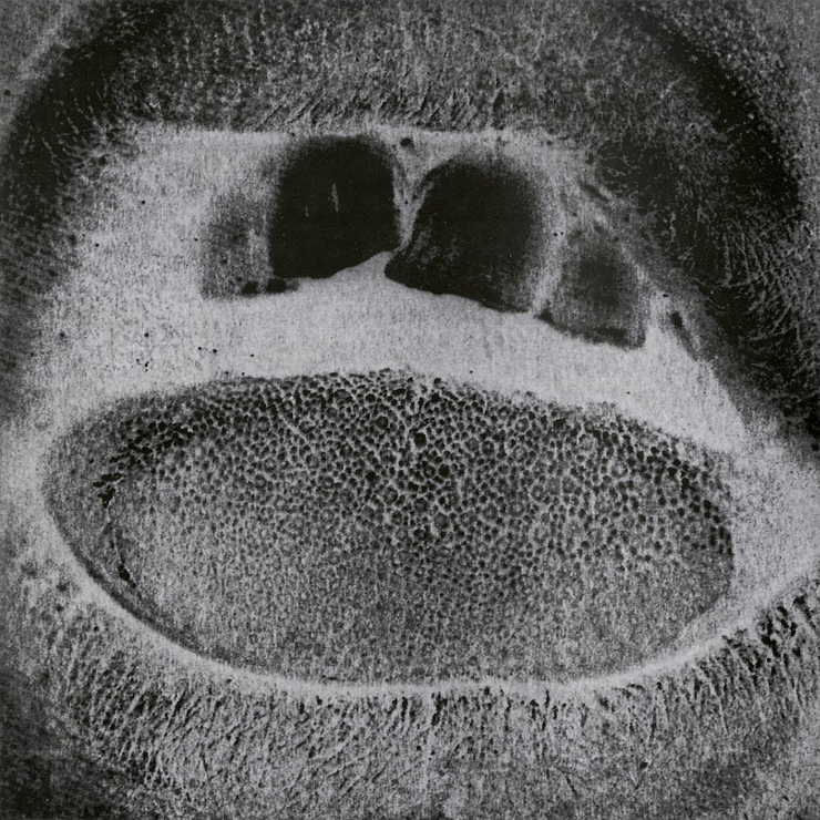 Picture of Form Destroyer