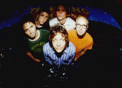 Picture of Tripping Daisy