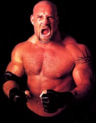 Picture of Bill Goldberg