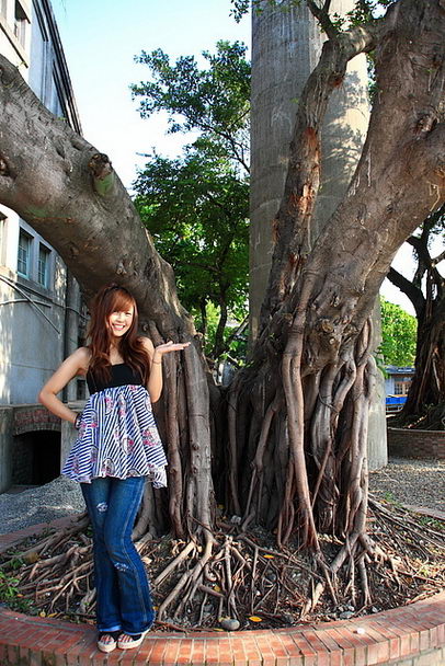 Picture of Lin Yingzhen