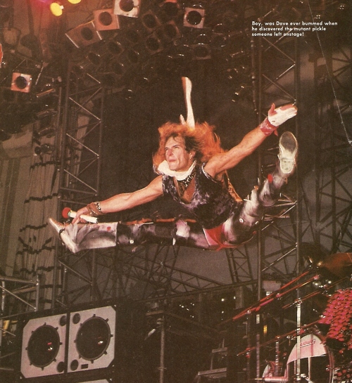 Picture of David Lee Roth