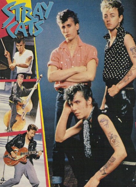 Stray Cats picture