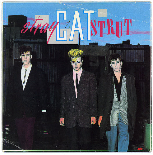 Stray Cats image