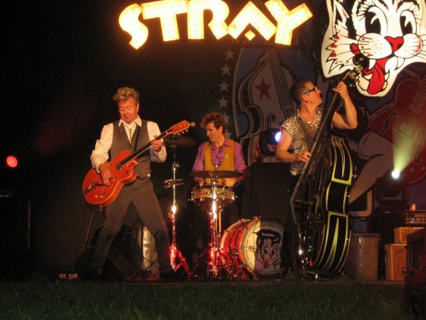 Picture of Stray Cats