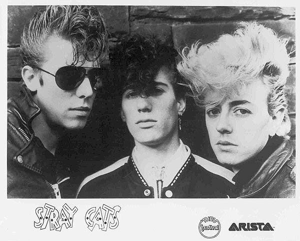 Picture of Stray Cats