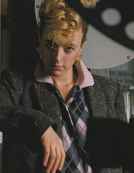 Picture of Stray Cats