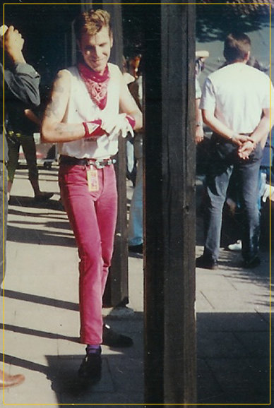 Picture of Stray Cats