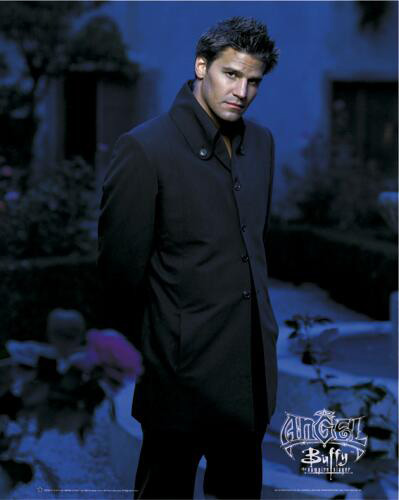 Picture of David Boreanaz