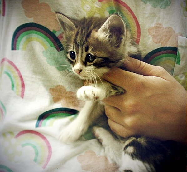 Listal - List the stuff you love! Movies, TV, music, games and books