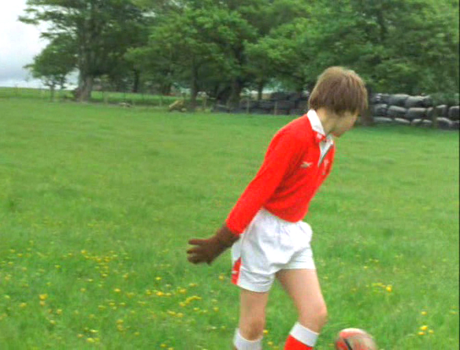 Picture of Small Miracles