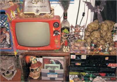 Picture of Punk House: Interiors in Anarchy