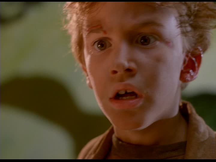 Joseph Mazzello - Jurassic Park (1993)