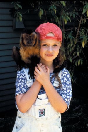 Picture of Monkey Trouble