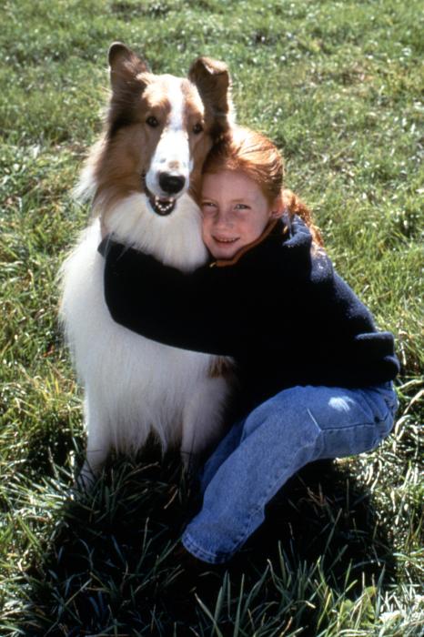 Lassie (1994) picture
