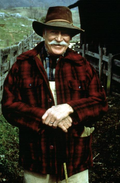 Picture of Lassie (1994)