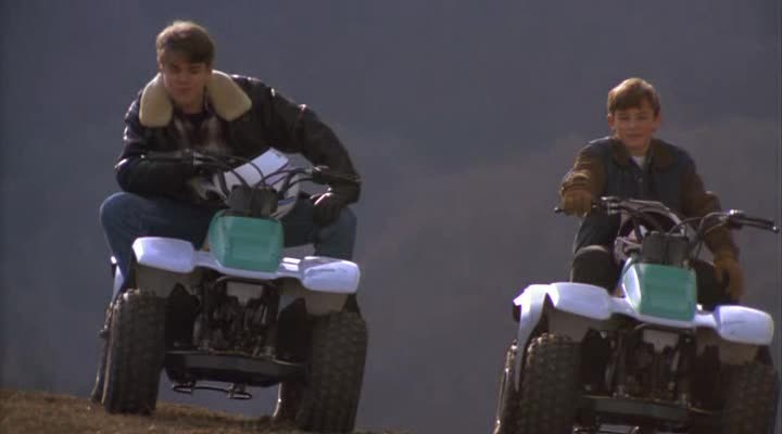 Picture of Lassie (1994)