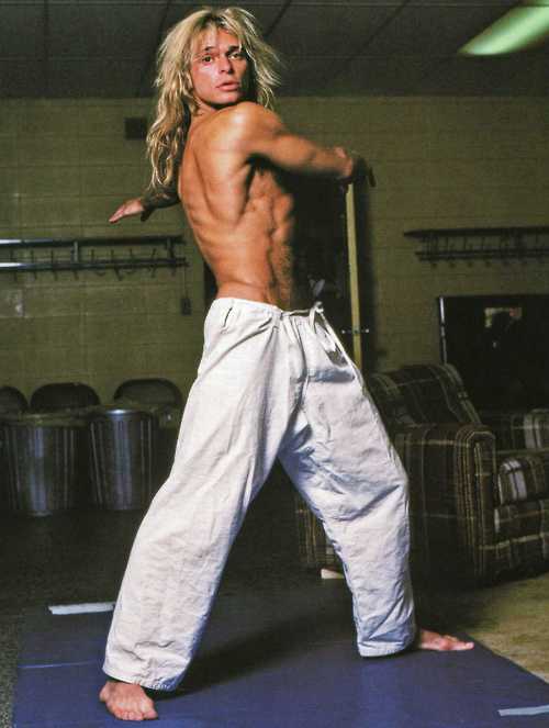 Picture of David Lee Roth