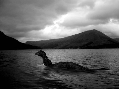 Picture of The Water Horse: Legend of the Deep