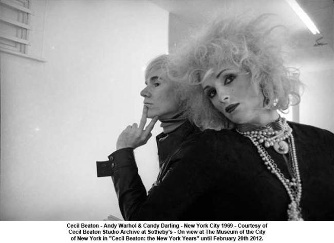 Candy Darling picture