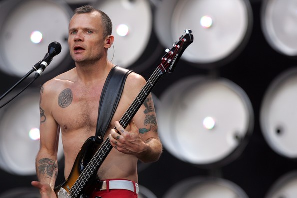 Picture of Flea