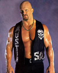 Picture of Steve Austin