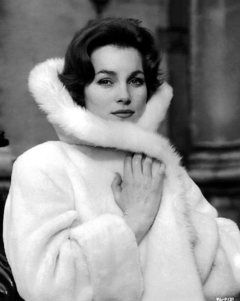 Picture of Shirley Anne Field