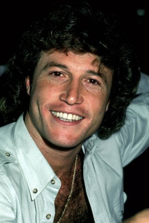 Andy Gibb image