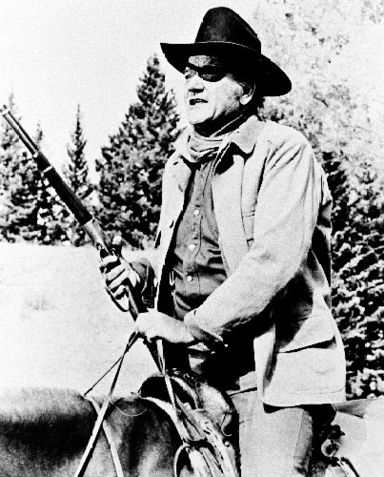 Picture of True Grit