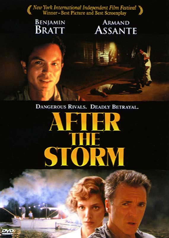 After the Storm (2001) picture