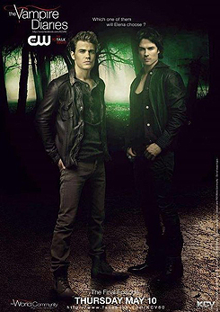 Picture of The Vampire Diaries