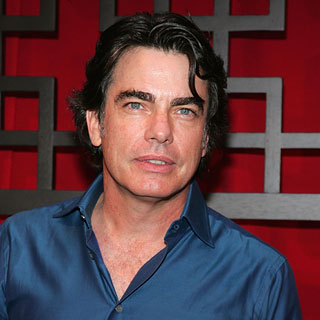 Peter Gallagher image