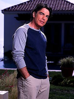 Picture of Peter Gallagher