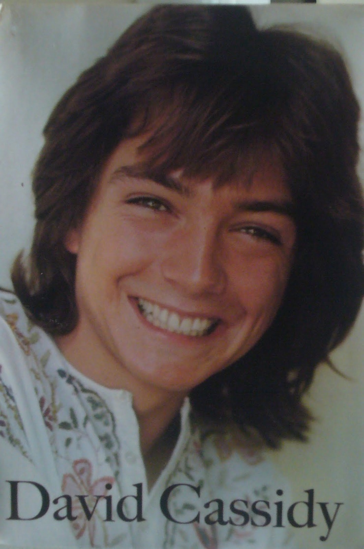 Picture of David Cassidy