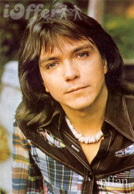 David Cassidy image