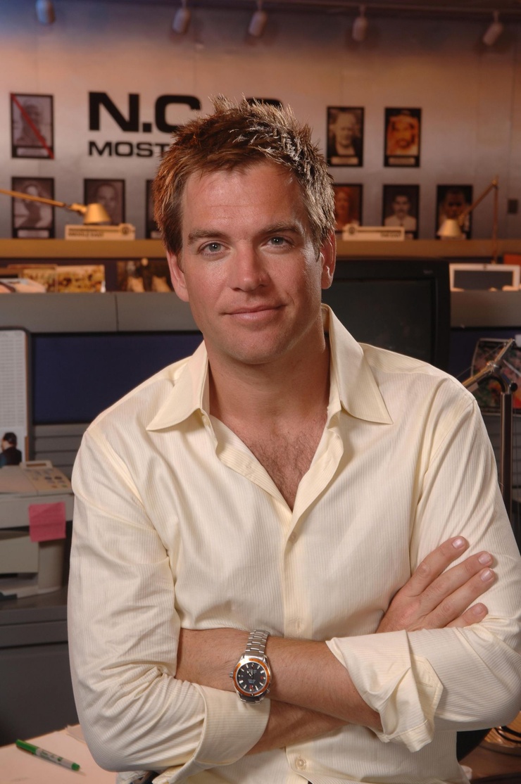 Michael Weatherly picture