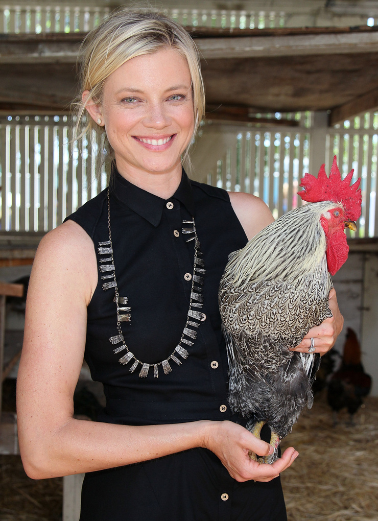 Picture of Amy Smart