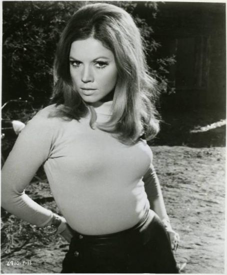 Jocelyn Lane - Alchetron, The Free Social Encyclopedia