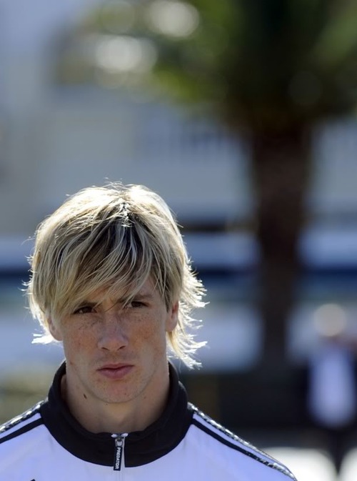 Picture of Fernando Torres