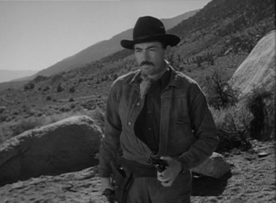 Picture of The Gunfighter