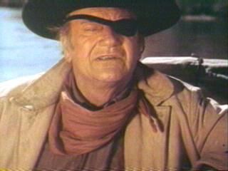Picture of Rooster Cogburn