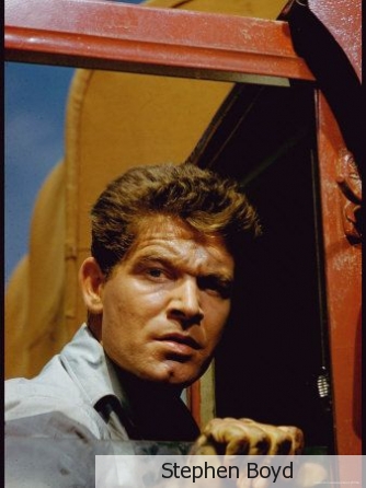 Picture of Stephen Boyd