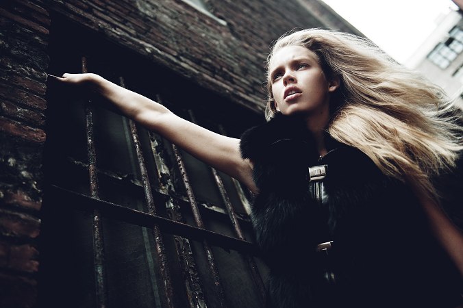 Lauren Brie Harding image