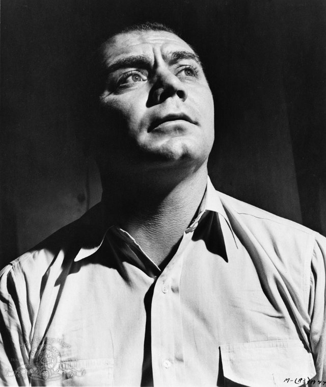 Picture of Ernest Borgnine