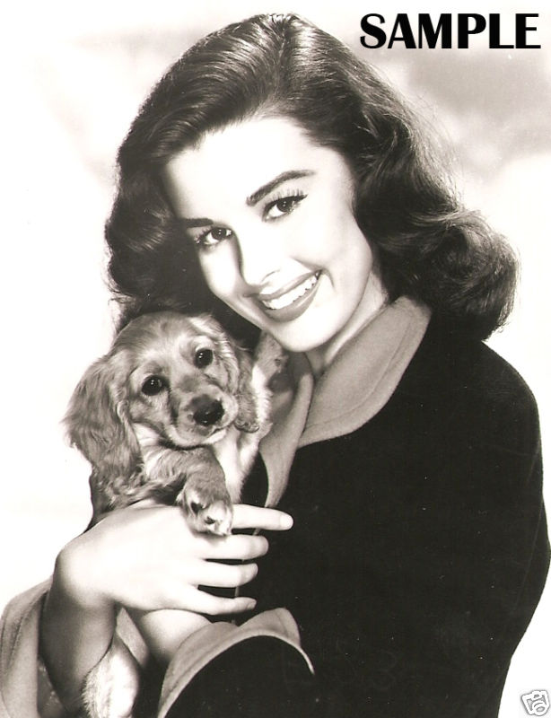 Picture of Elaine Stewart